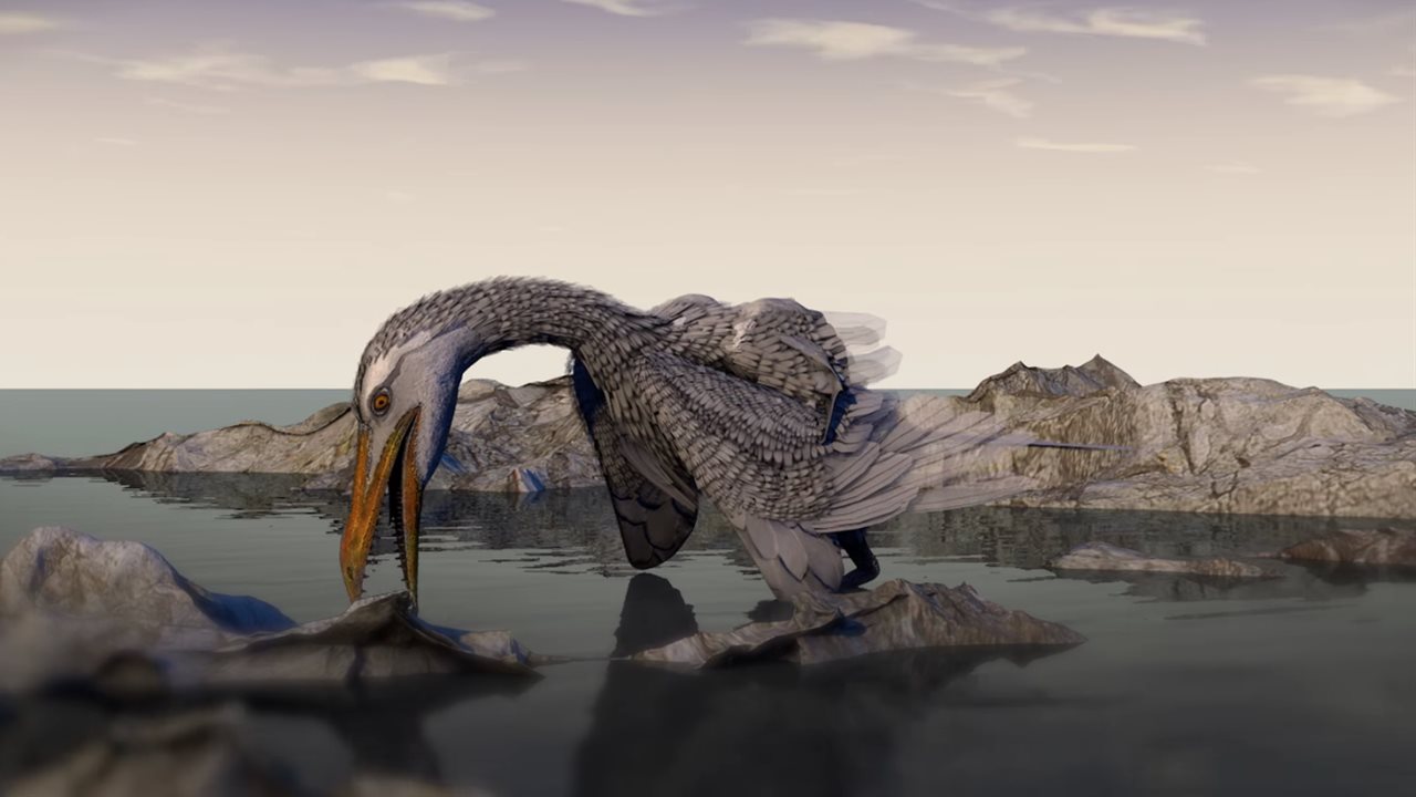 Las Aves que Tenían Dientes - Diarios ciudadanos